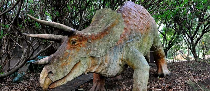 TWO NEW CLADES OF HORNED DINOSAURS IDENTIFIED [1 min read]
