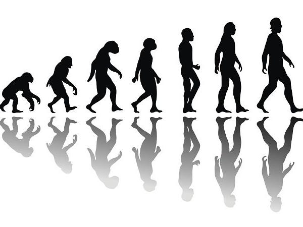 Ancient Primates Possessed Both Grooming Claws And Nails [1 min read]