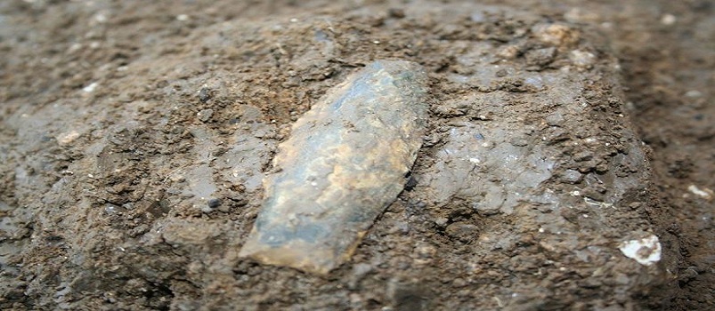Archaeologists Uncover Oldest Weapons Ever Found in North America [1 ...