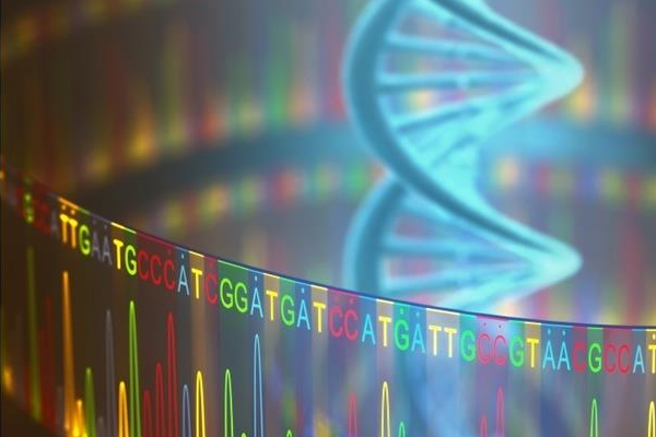 New Methods of Cell Characterization [1 min read]