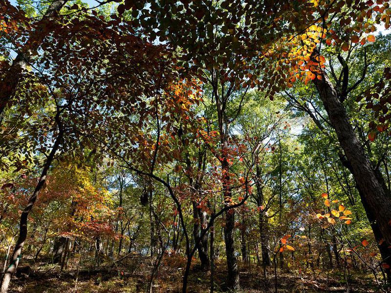 Species Evolving In Temperate Ecosystems [1 min read]