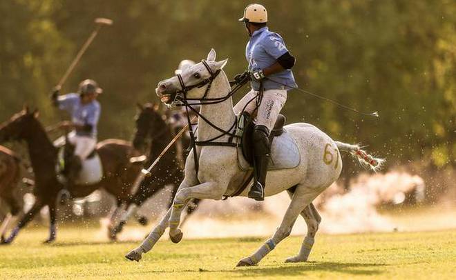 Explore the History of One of the Most Loved Sports: Polo [1 min read]
