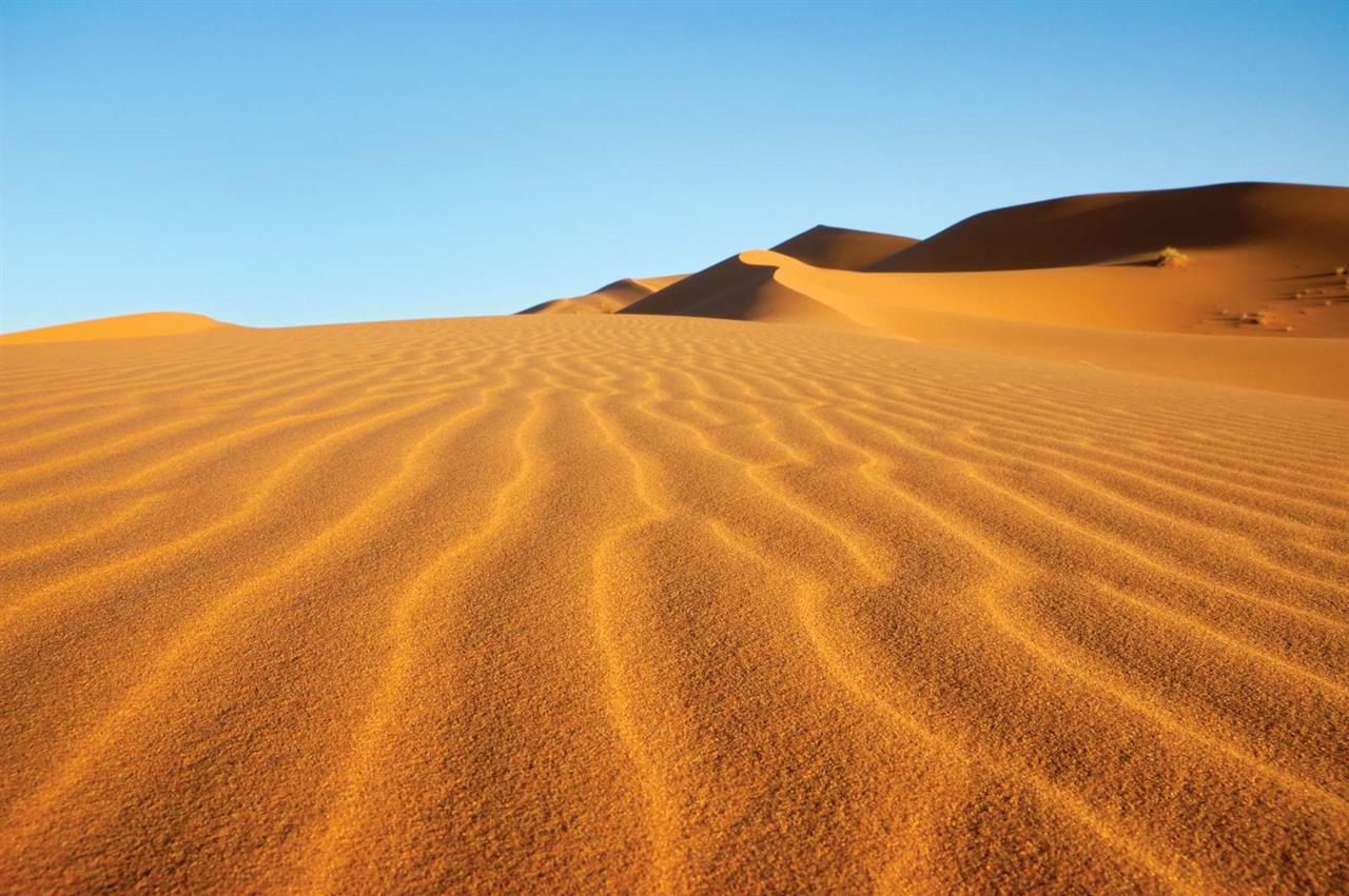 Interesting Facts About Desert [1 min read]