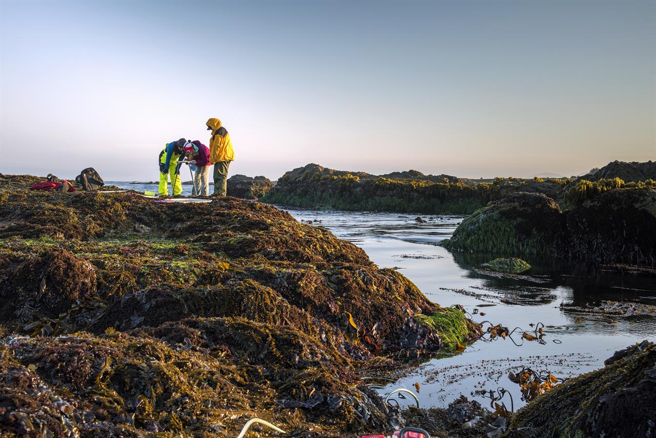 Coastal Ecosystem [1 min read]