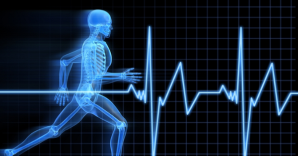 A Guide to Sports Science! [1 min read]