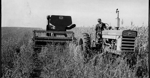 History Of Organic Farming | Traditional Farming- Fairgaze [1 min read]