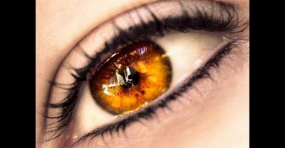 Extinction Watch: Amber Eyes, Dwindling Fast [1 min read]