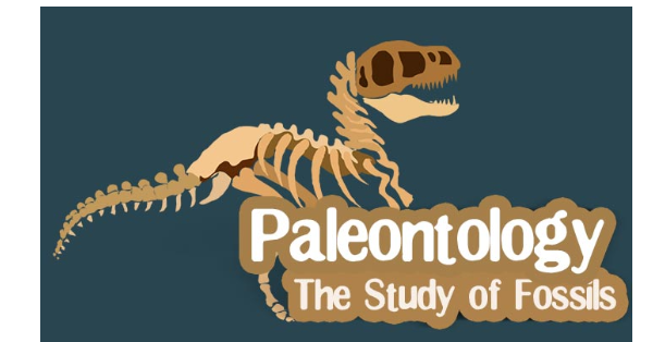 What Is Palaeontology [1 min read]