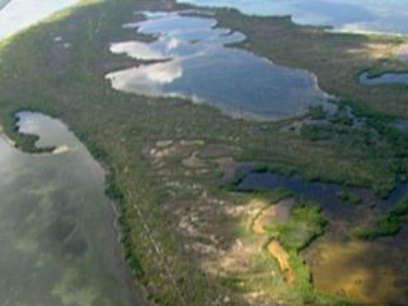 Delta Wetland: A Prime Habitat [1 min read]