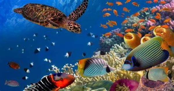 Marine Life Extinction [1 min read]