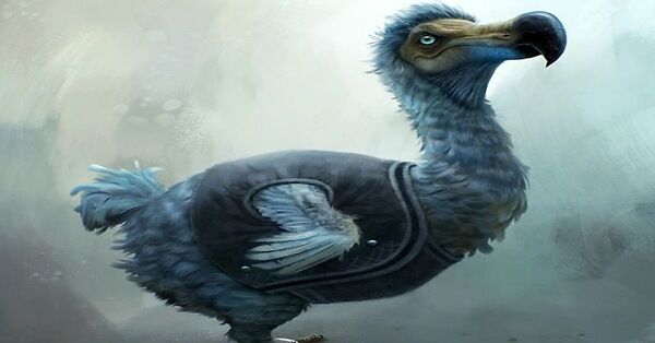 Dodo: The Extinct Animal [1 min read]