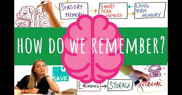 Tips for remembering Key Concepts while Studying. [1 min read]