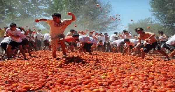 La Tomatina: Spain's Tomato Fight Festival [1 min read]